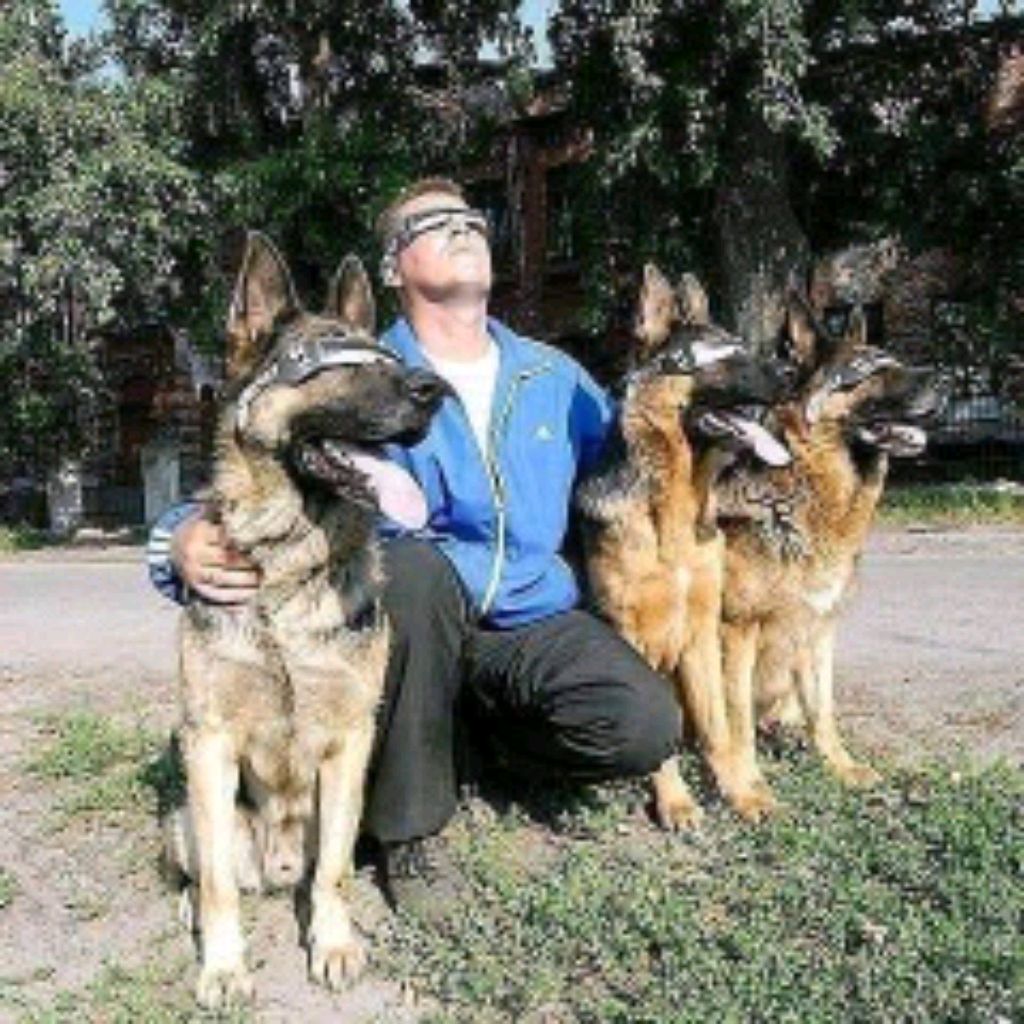 Иконка канала MagistrDog