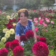 Иконка канала Пионовый Рай