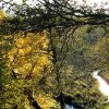 Иконка канала Danature