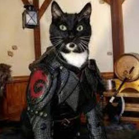 Иконка канала Живой уголок