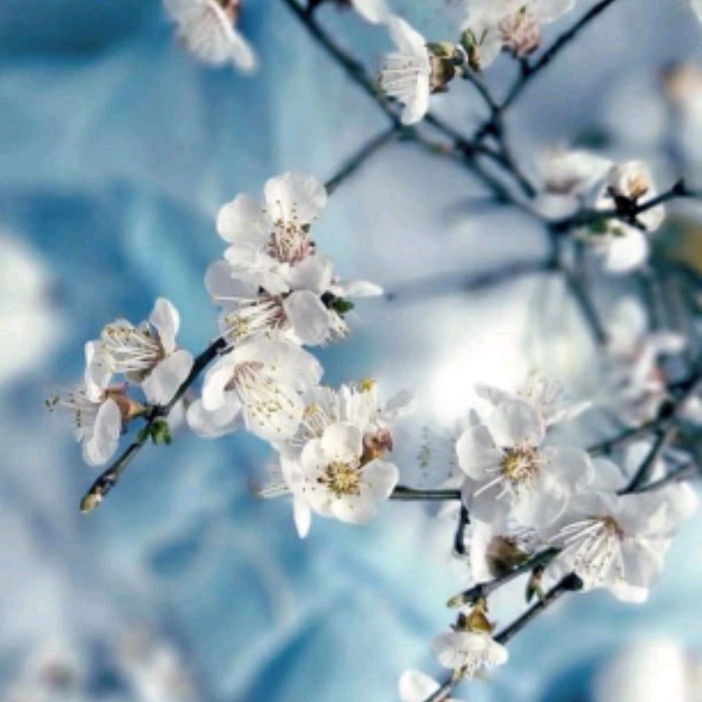 Иконка канала Veronika Life