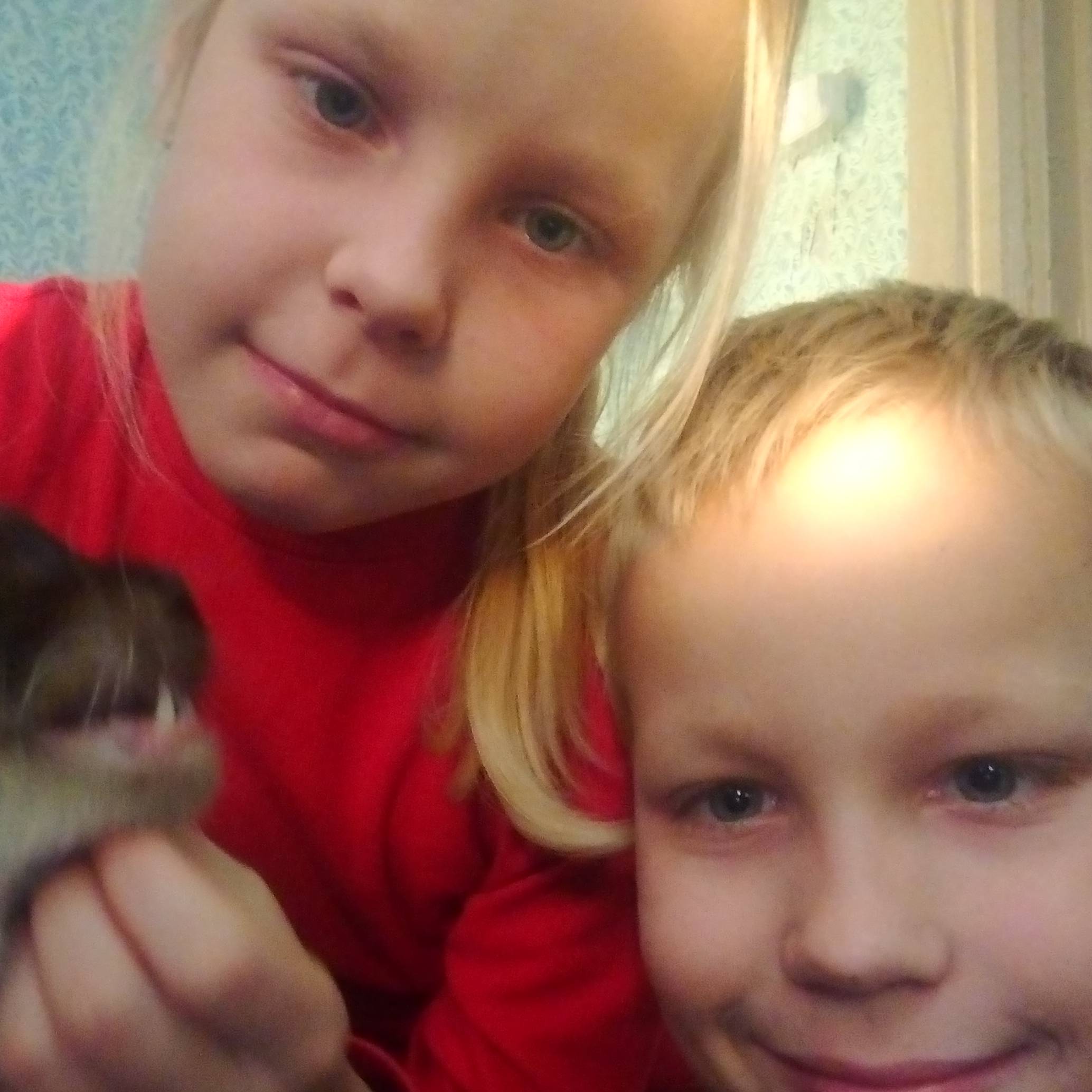 Иконка канала Котики