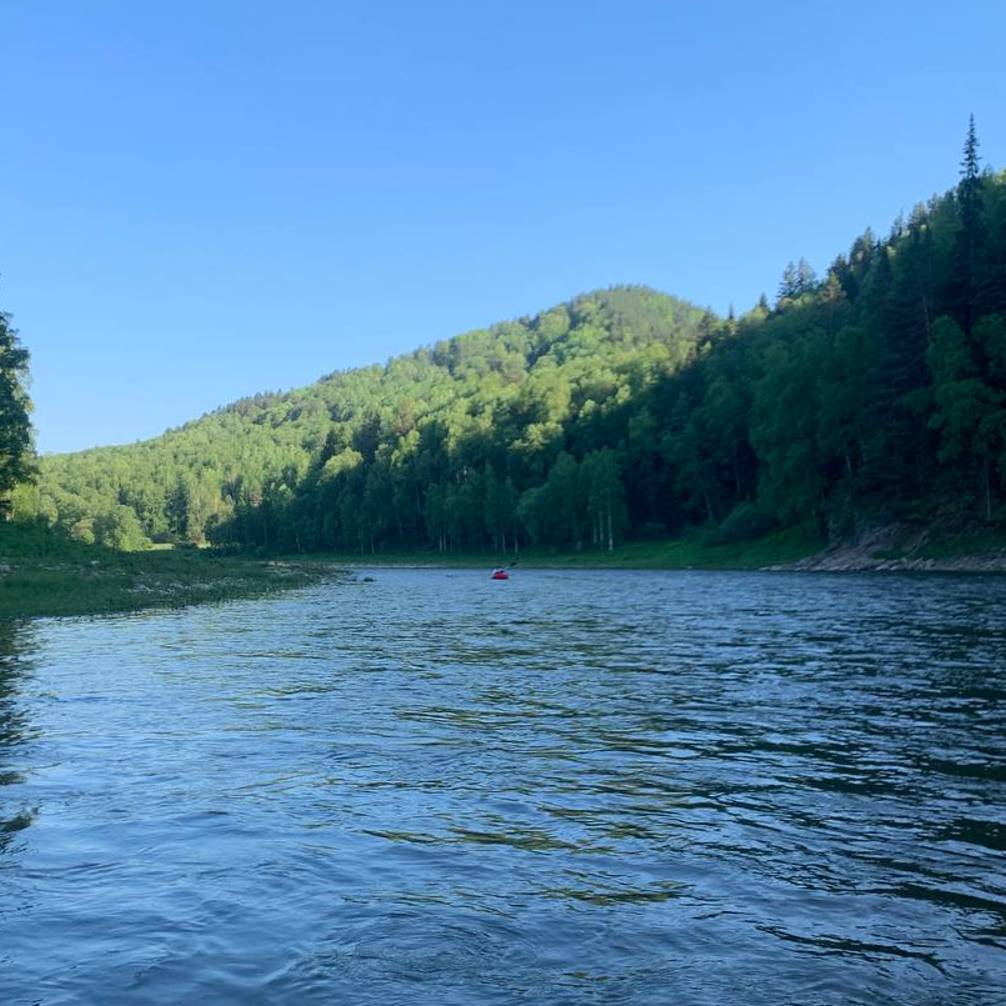 Иконка канала ШефИзГоры ТВ