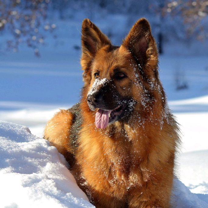 Иконка канала Марина Сергеевна