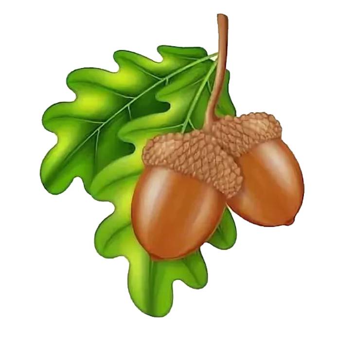 Иконка канала Евгений Митрофанов