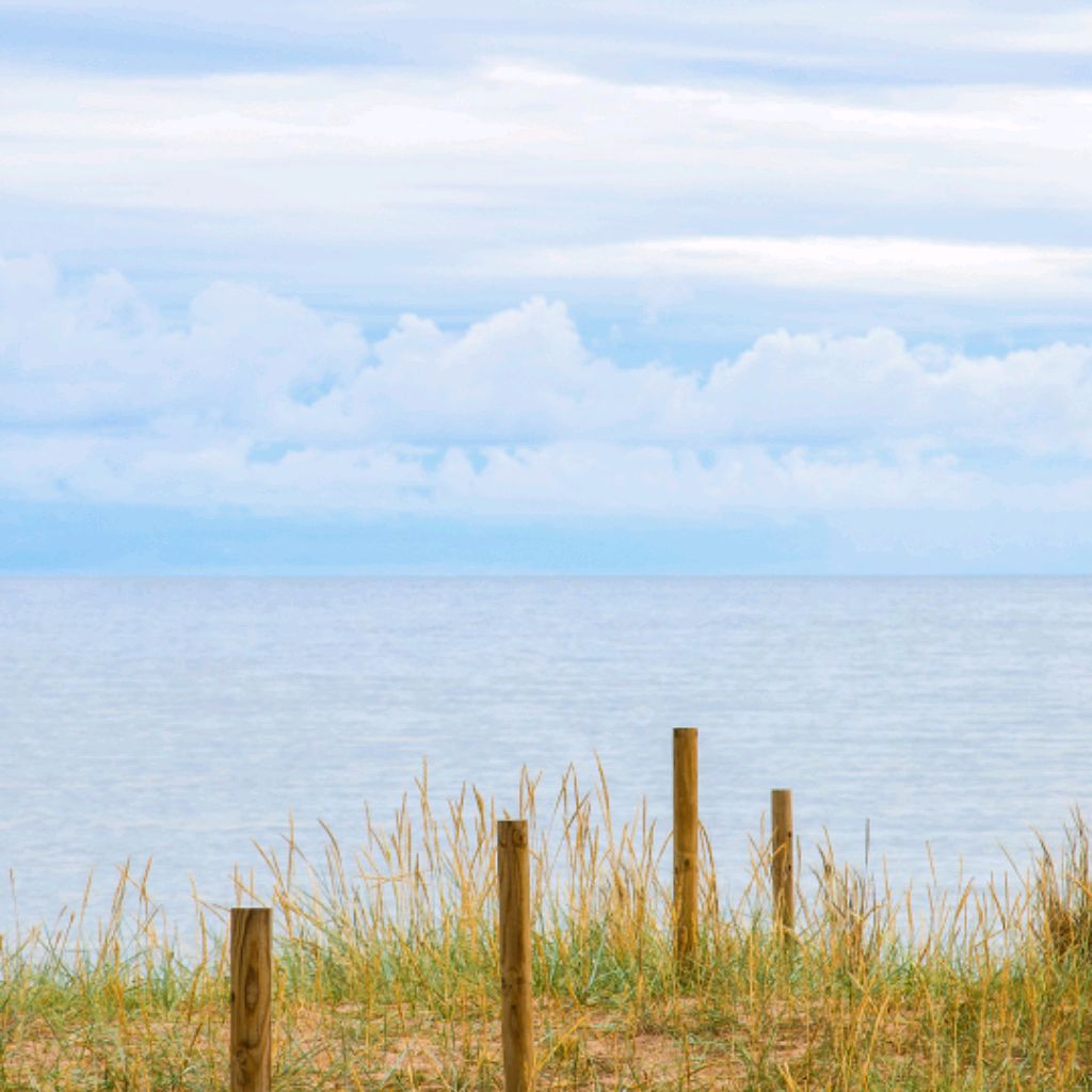 Иконка канала Дмитрий Романов