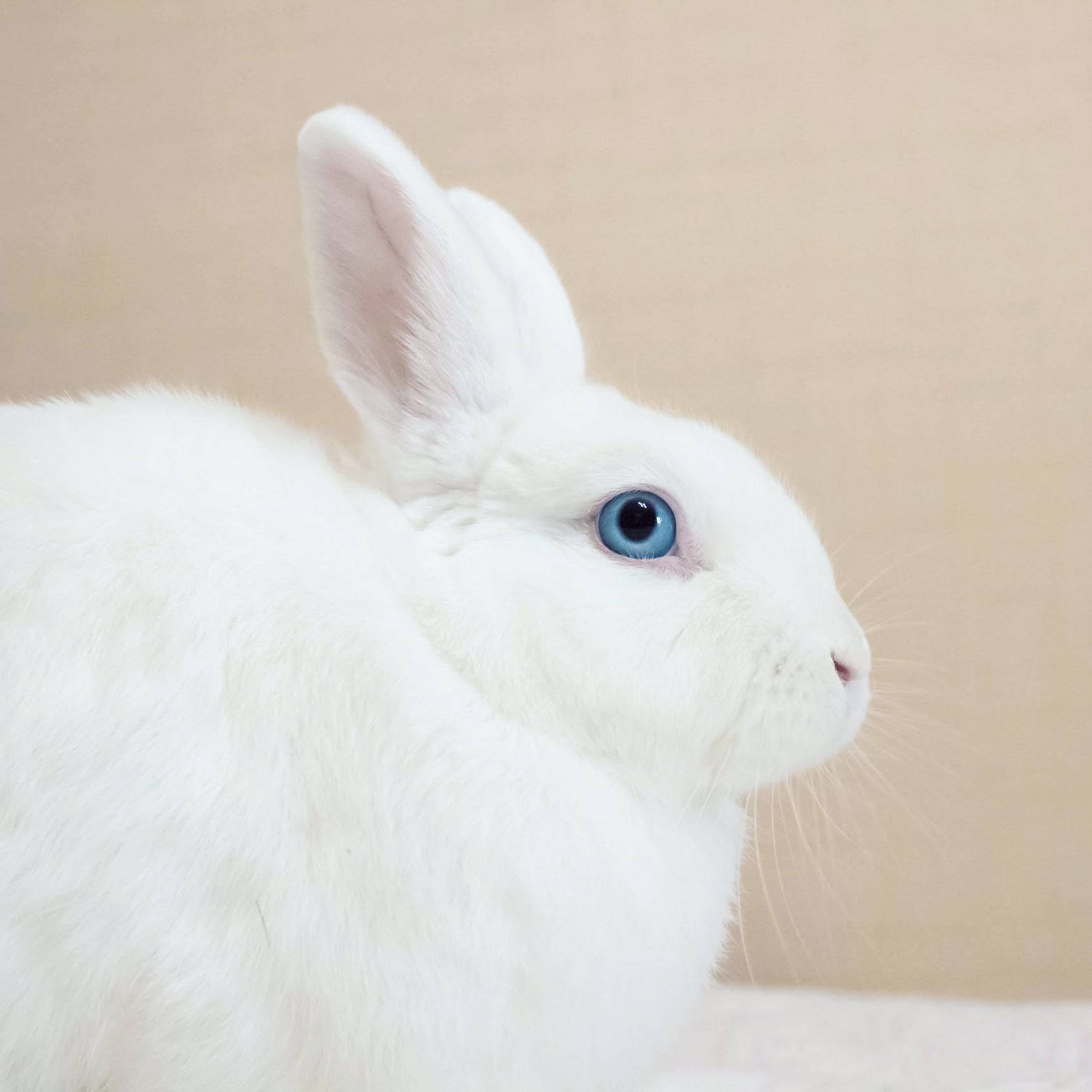 Иконка канала Claudia Carrot