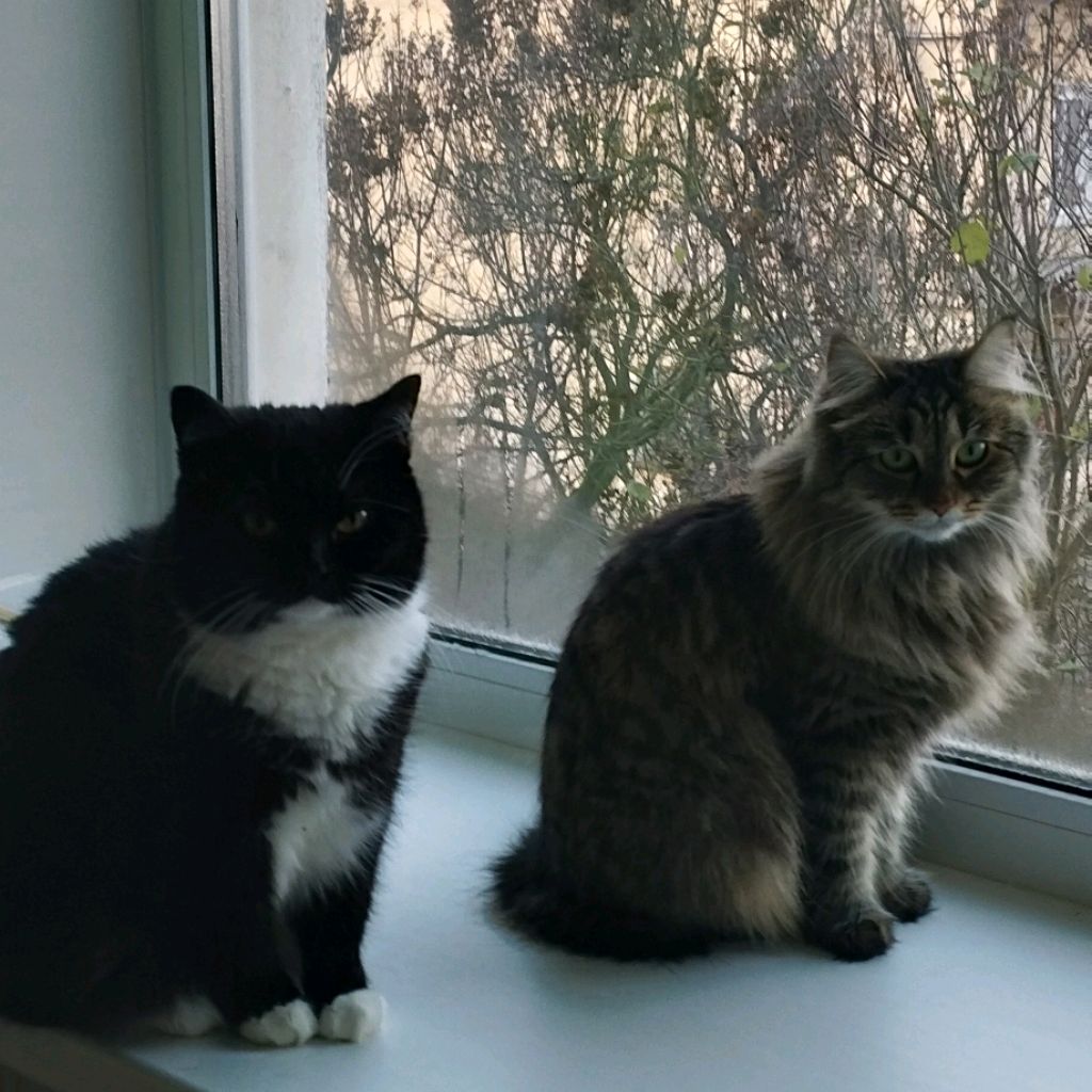 Иконка канала DenssneD13