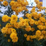 Иконка канала Хочу любить Жить.