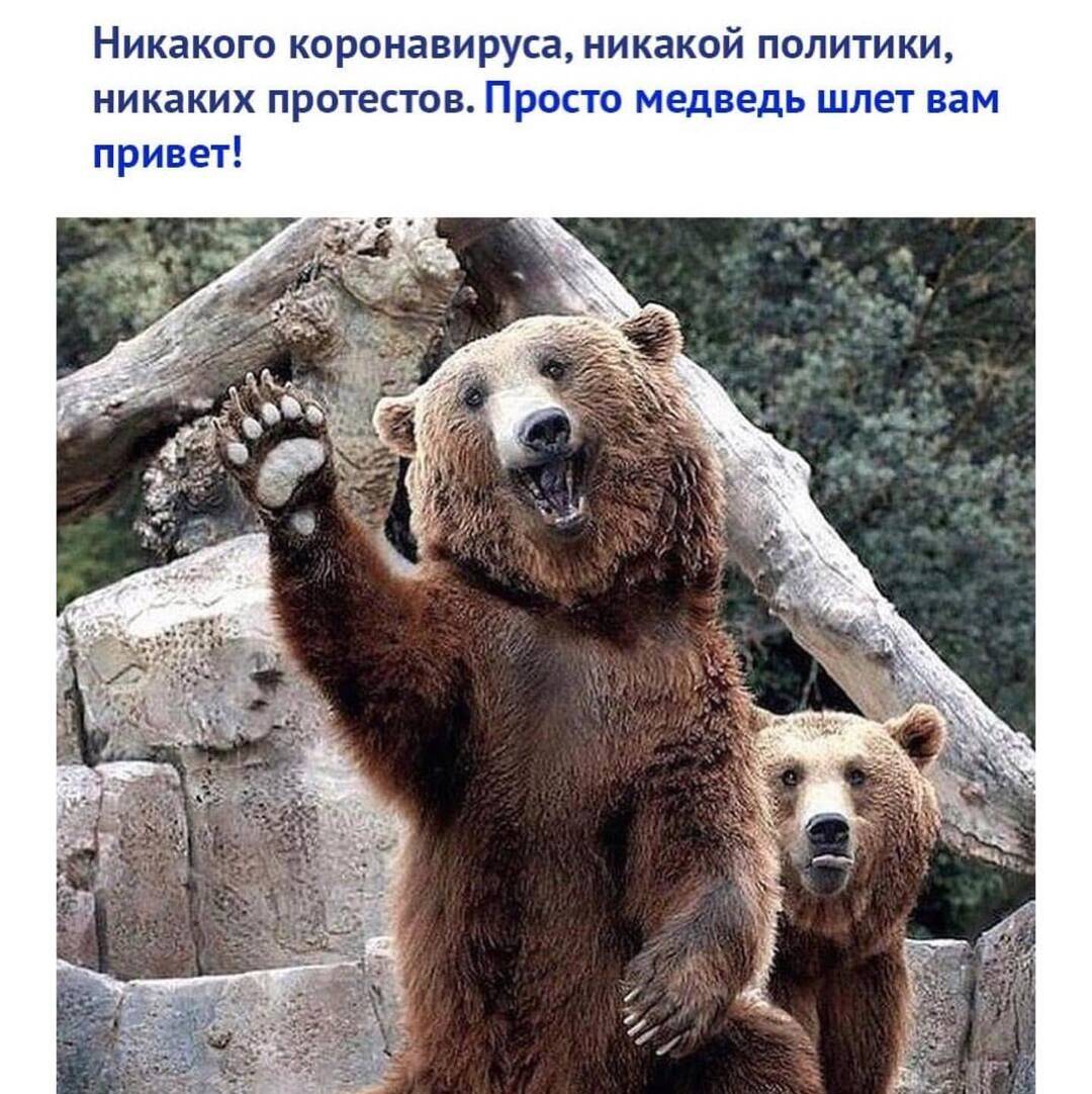 Иконка канала Ремонт техники и как не попасть на мошенников