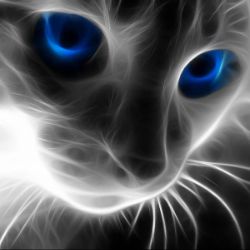 Иконка канала Смешной ответ