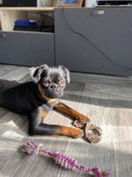 Иконка канала Kimas