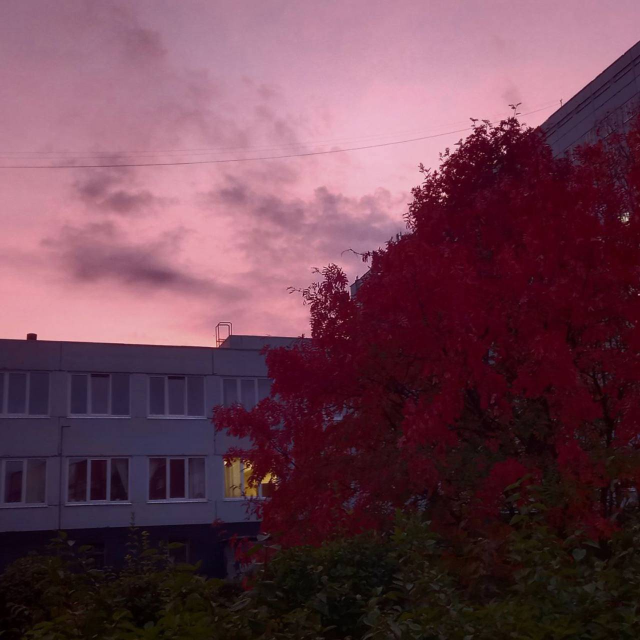 Иконка канала Dashulya2007