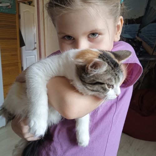 Иконка канала Каташаева