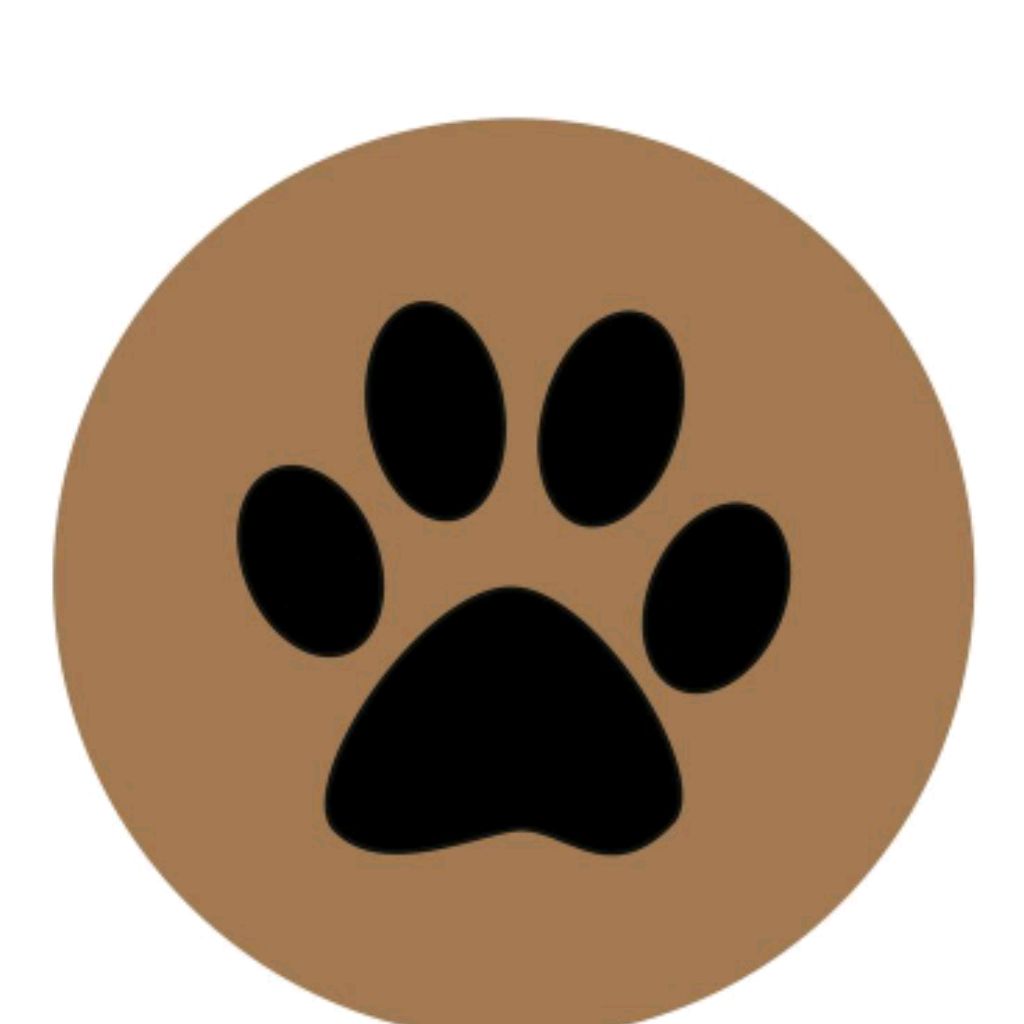 Иконка канала ★Рыжуля★-Квадробика}