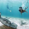 Иконка канала LieyuDiving Russia системы хука