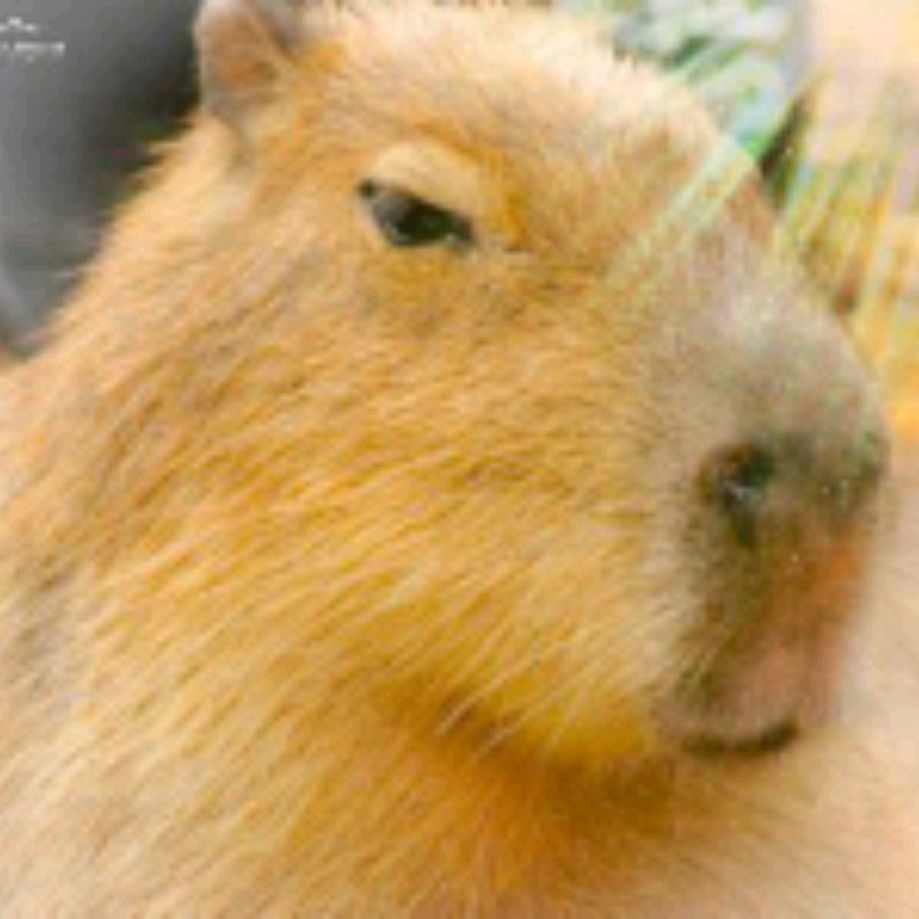 Иконка канала Aleksvol529@gmail.com