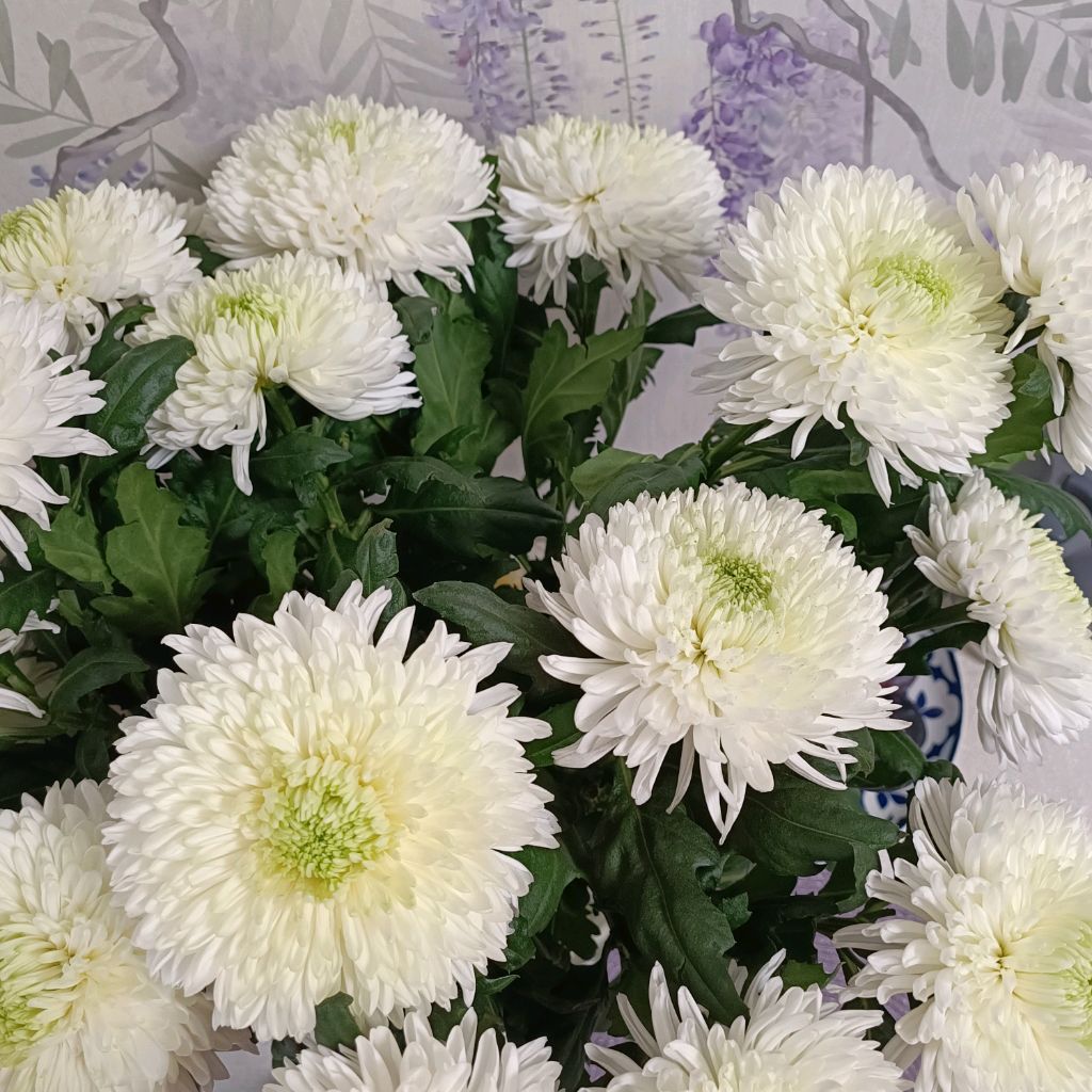 Иконка канала Galina_ naumova8