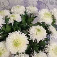 Иконка канала Galina_ naumova8