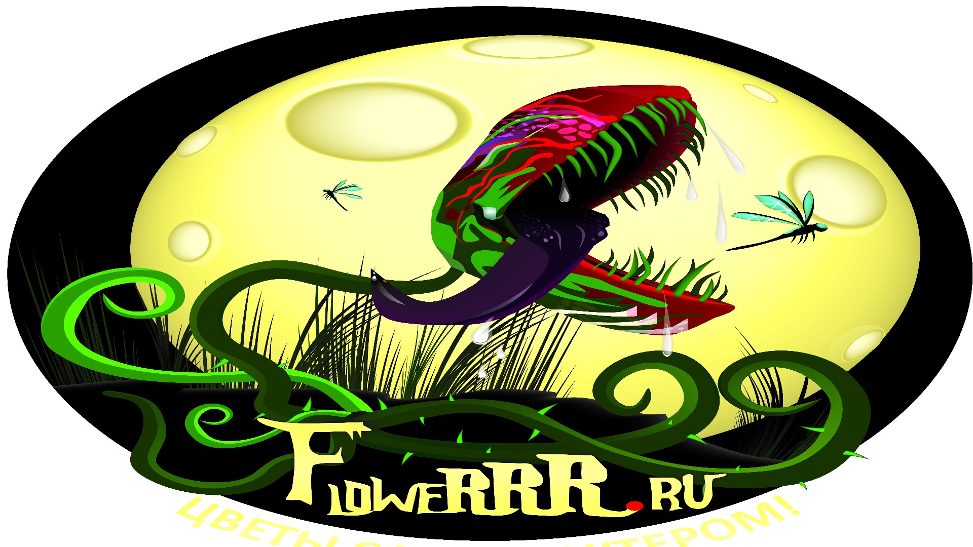 Иконка канала flowerrr.ru