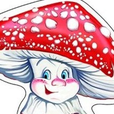 Иконка канала Griboman - Мухомор Красный Спб, Мухомор Пантерный