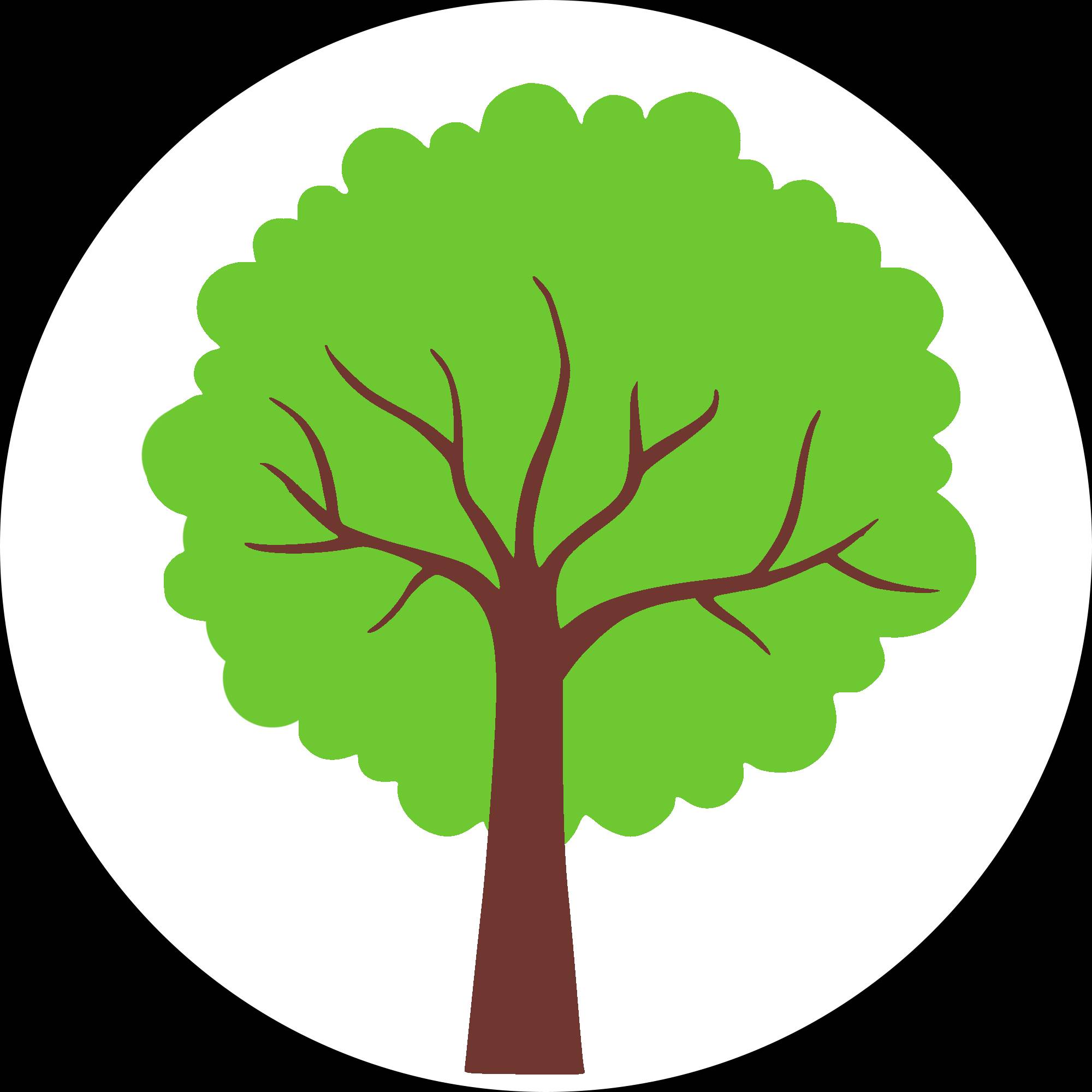 Иконка канала Здоровье и Долголетие