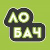 Иконка канала ЛОБАЧ - замена авто стекла