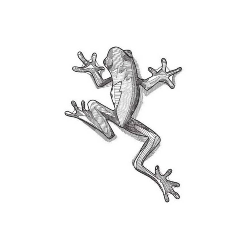 Иконка канала Zelёnka Studio