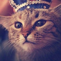 Иконка канала Антон Ситников