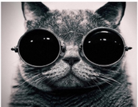 Иконка канала Димас и ананас