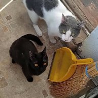 Иконка канала Котоманов VLOG