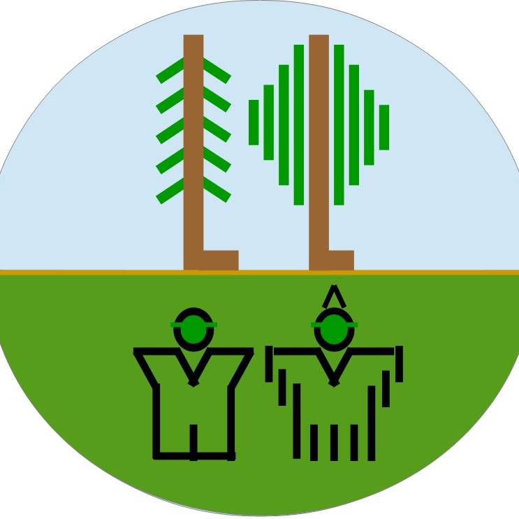 Иконка канала Из леса в лес