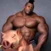 Иконка канала Hogrider