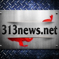 Иконка канала 313news.net