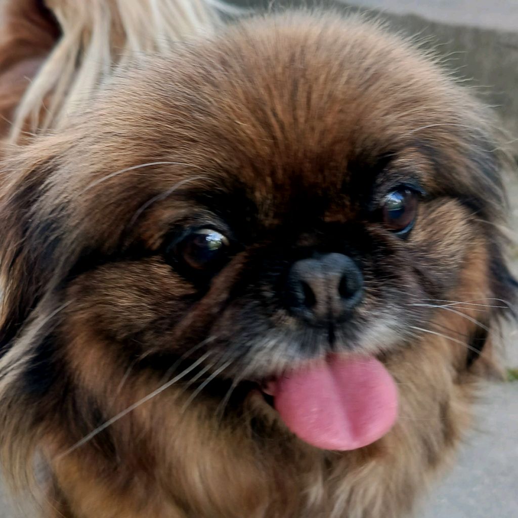 Иконка канала БоняГера