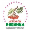 Иконка канала МБДОУ ЦРР - детский сад "Рябинка"