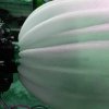 Иконка канала IZOLON.RU