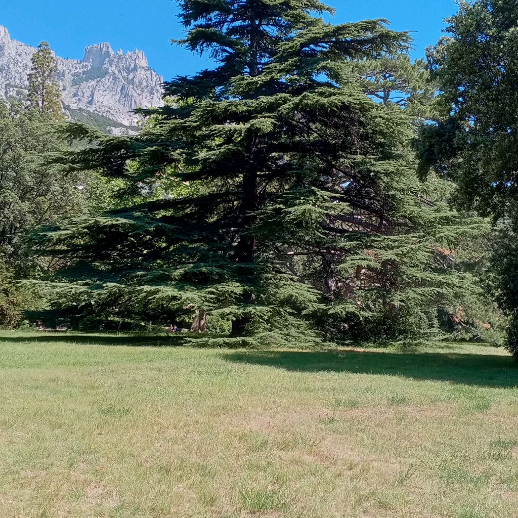 Иконка канала Кадрат 002