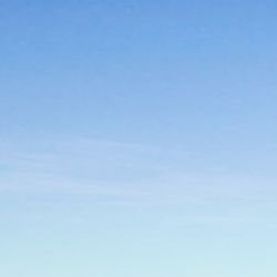 Иконка канала scorpion