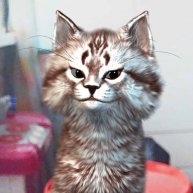 Иконка канала кот Тузик