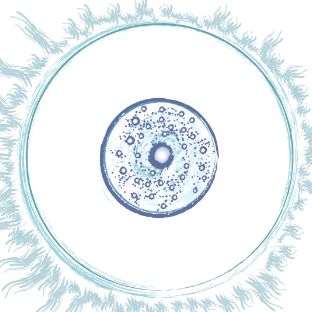 Иконка канала Звёздная традиция