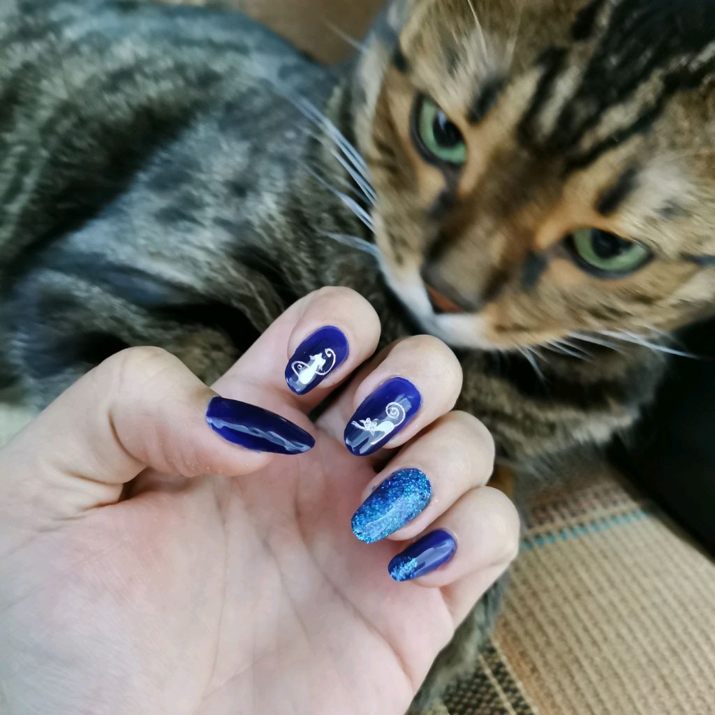 Иконка канала Lady_Asya