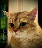 Иконка канала ЕгОрЮшА