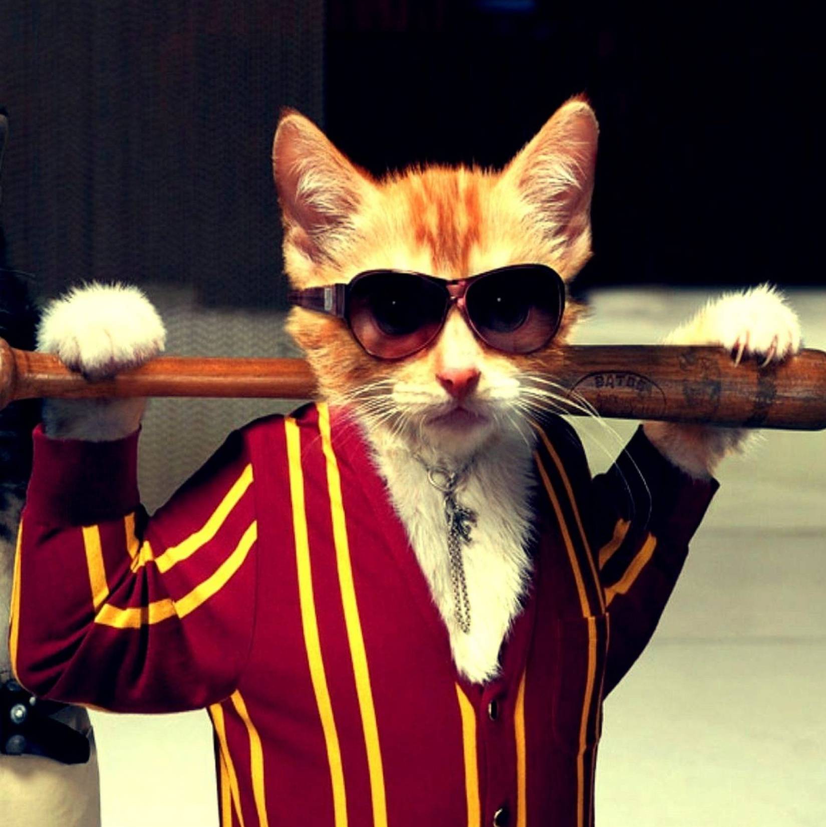 Иконка канала Bob Shabbat