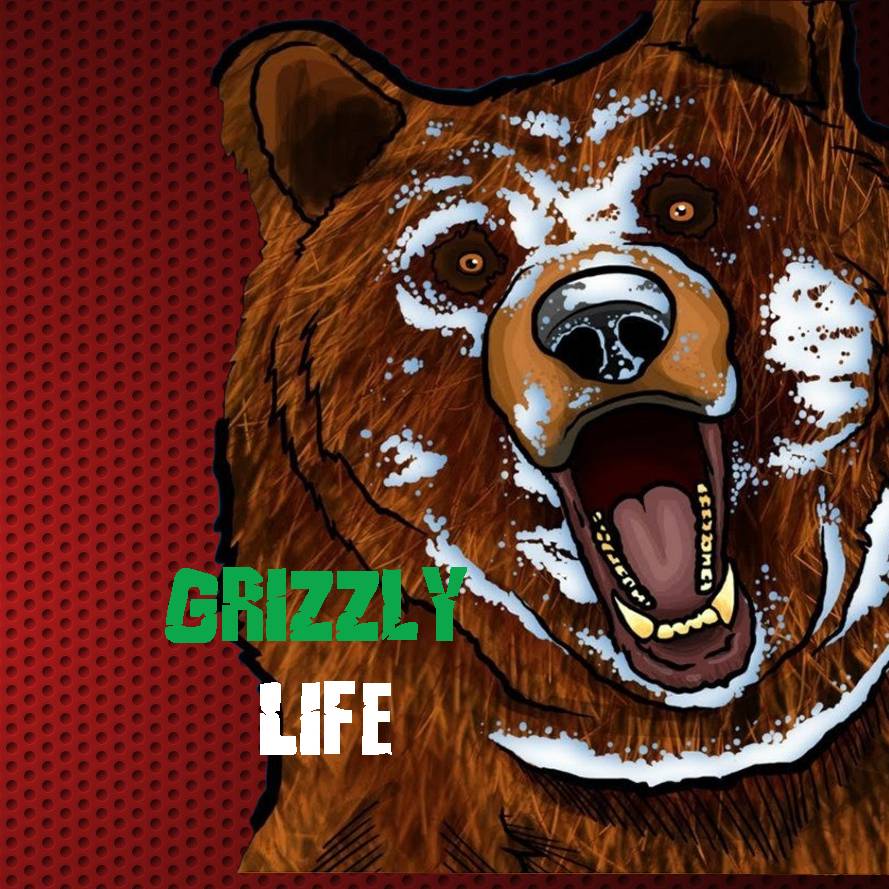 Иконка канала Grizzly  Life