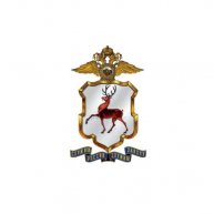 Иконка канала ГУ МВД России по Нижегородской области