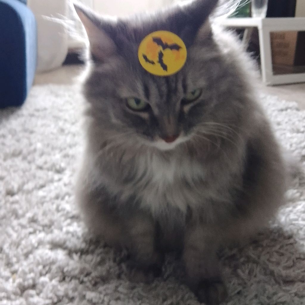 Иконка канала VovanShymGam?