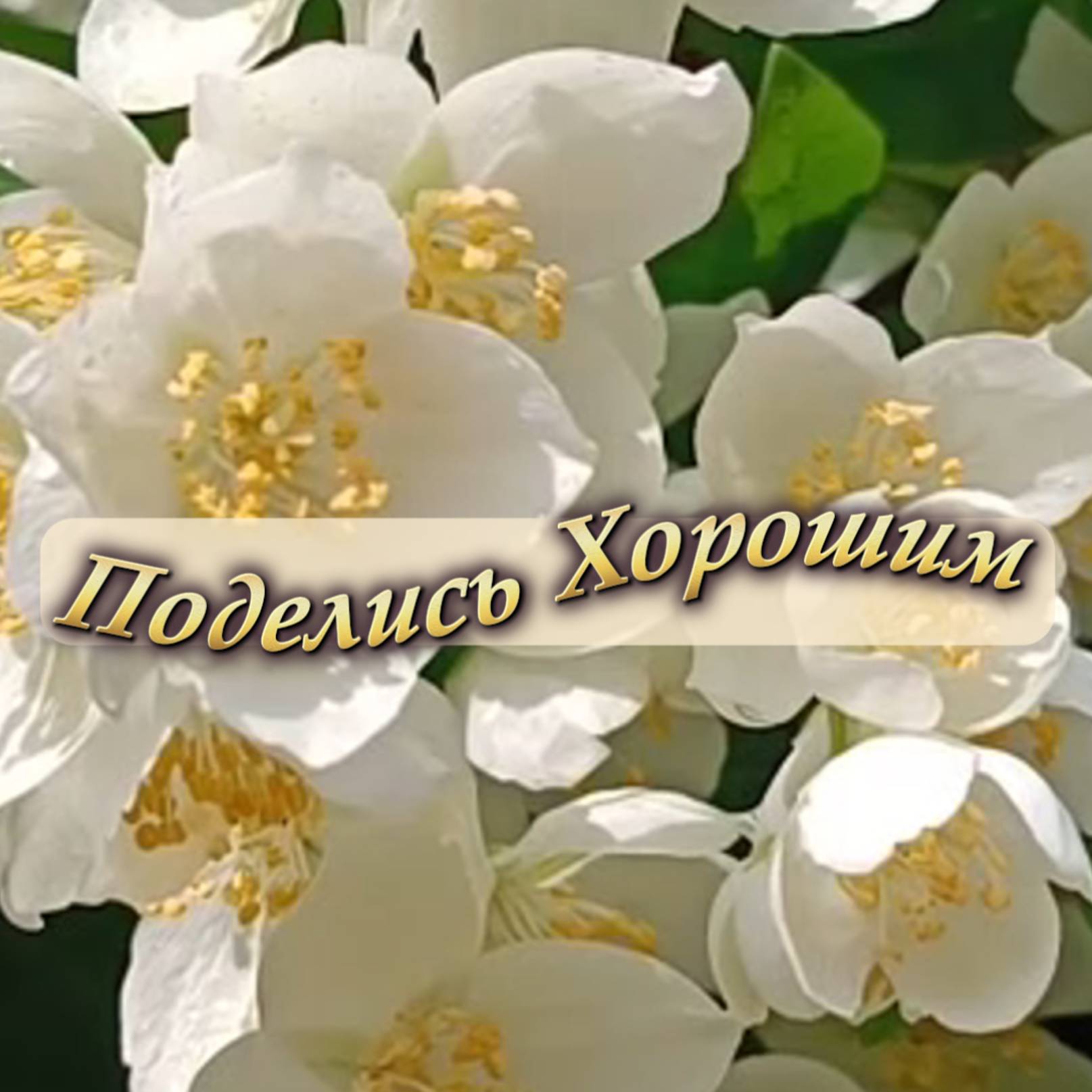 Иконка канала Поделись Хорошим