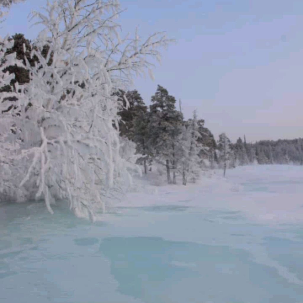 Иконка канала channel24736317