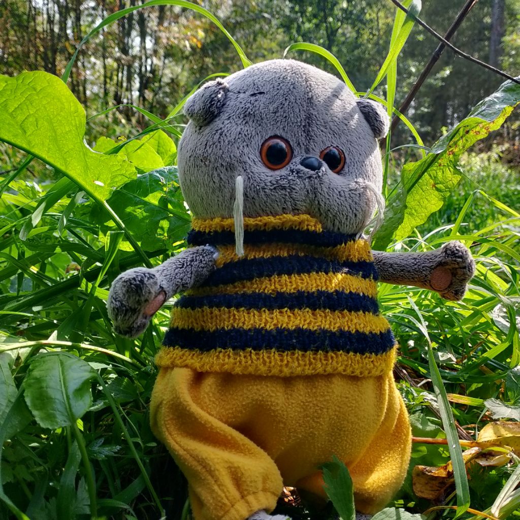 Иконка канала Vibasik